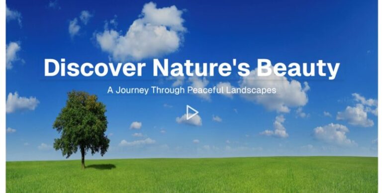 v0とは？使い方と料金プランや始め方！画像生成やスライド作成の方法も解説 | MiraLabAI